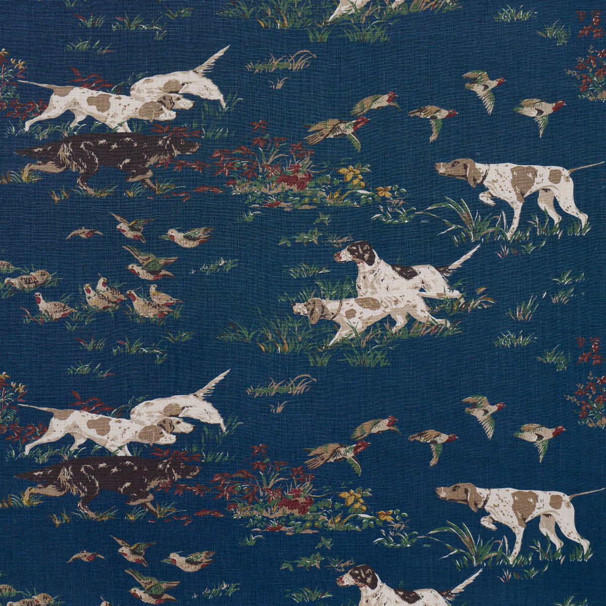 Pointers in Indigo by Schumacher